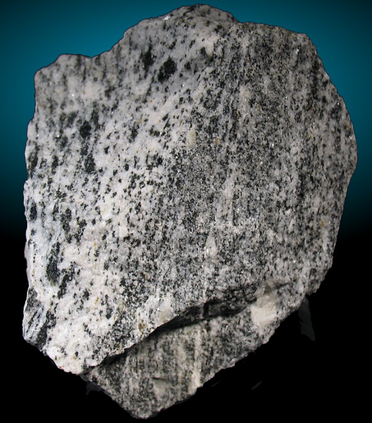 Diorite Gneiss